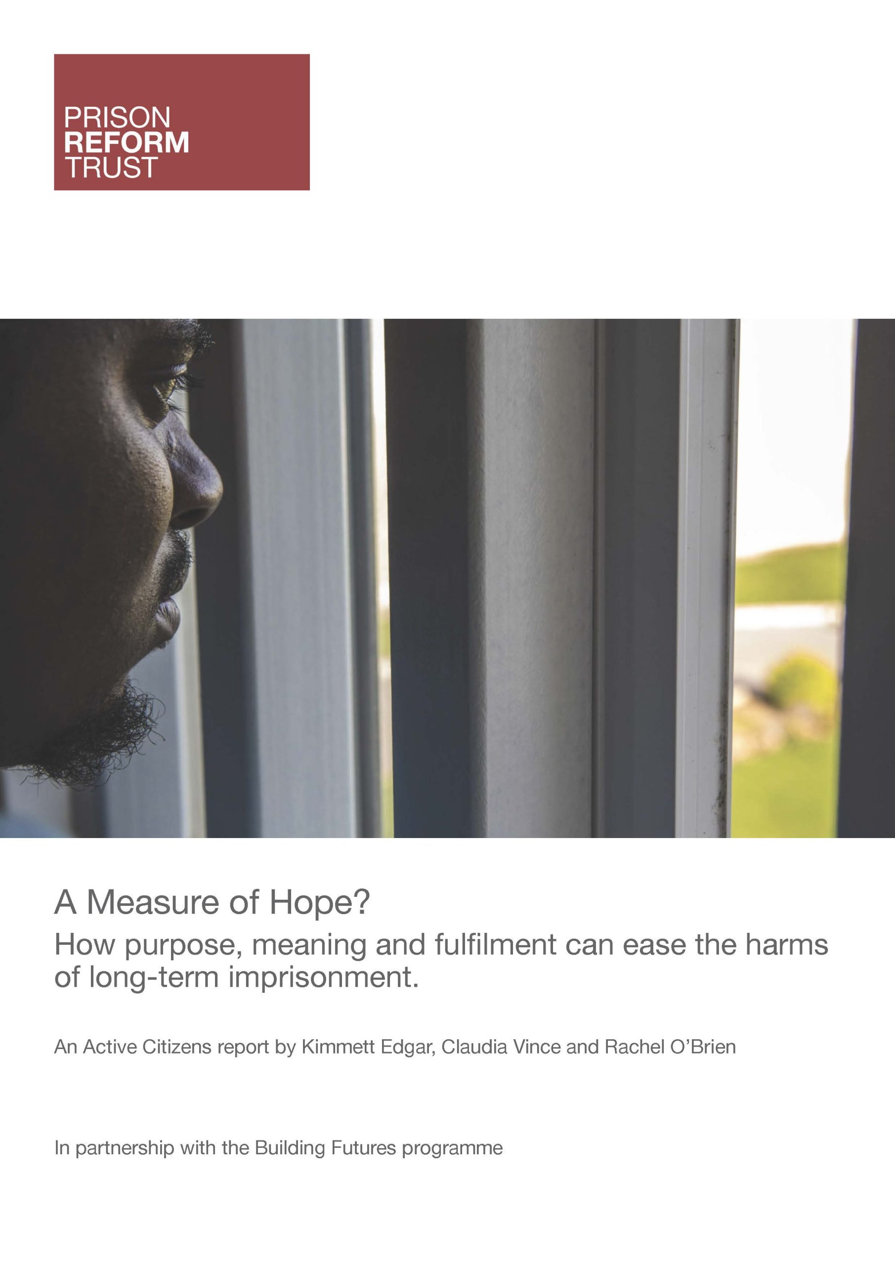 A Measure of Hope? How purpose, meaning and fulfilment can ease the ...